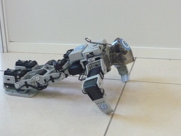 Foto & Video | Instructorul De Aerobic E Un… Robot! | Libertatea