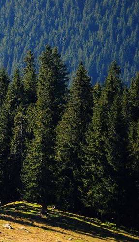 Turistă Căzută într-o Prăpastie în Munţii Făgăraşului | Libertatea