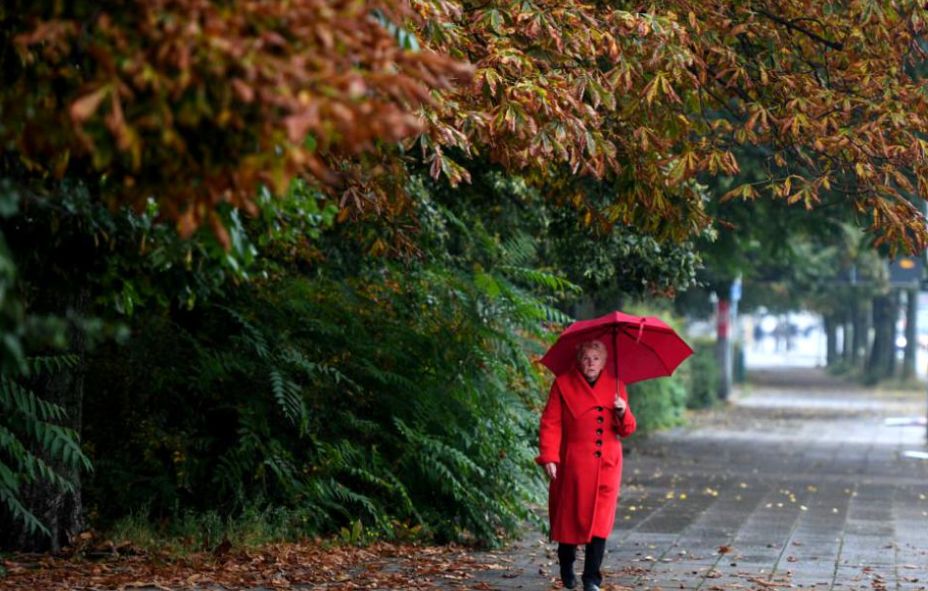 Prognoza Meteo Pentru Următoarele Două Săptămâni. Când Se Răcește ...