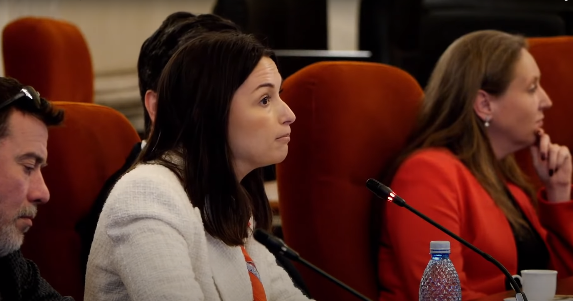 Edupedu: Catinca Maria Nistor, Numită Fără Concurs Directoare A ...