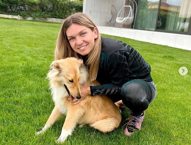 Cum Arată Simona Halep, După Ce și-a Dat Bandajul Jos De La Nas. Fanii ...
