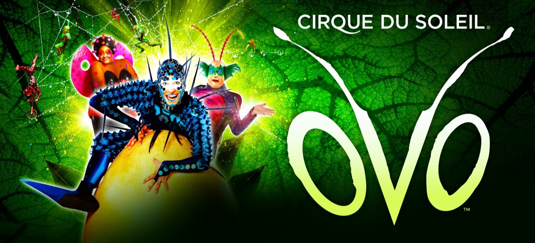 OVO – Spectaculosul Cirque Du Soleil – Vine în București! | Libertatea