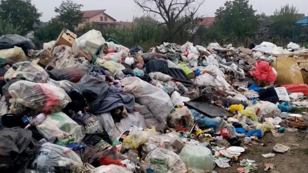 Garda De Mediu Din Timișoara A Dat Amenzi De Sute De Mii De Lei în ...