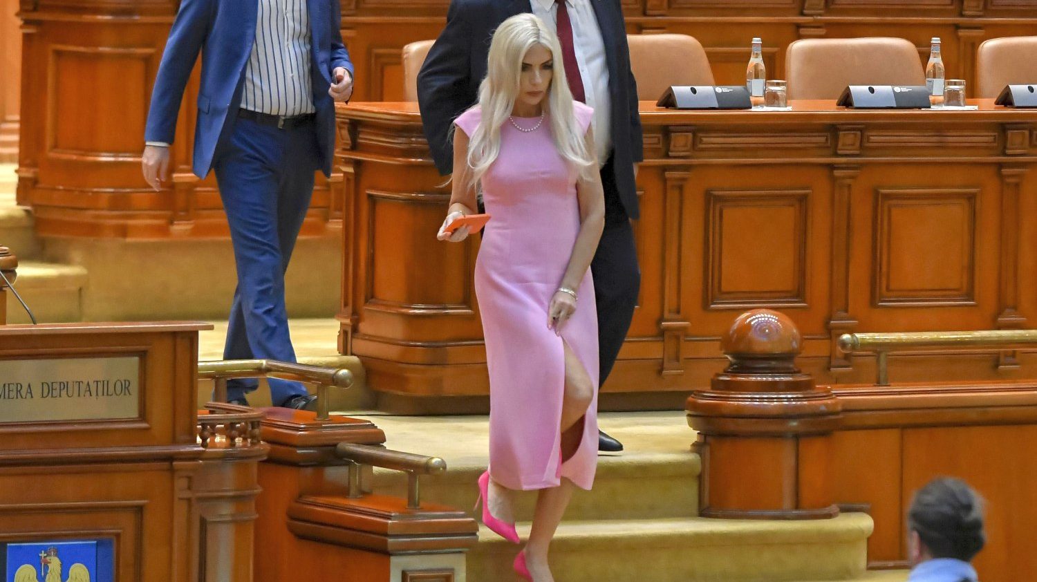 Cine Este Laura Vicol, Reținută De DIICOT în Dosarul Nordis, Unde Prejudiciul Este De 195 De ...