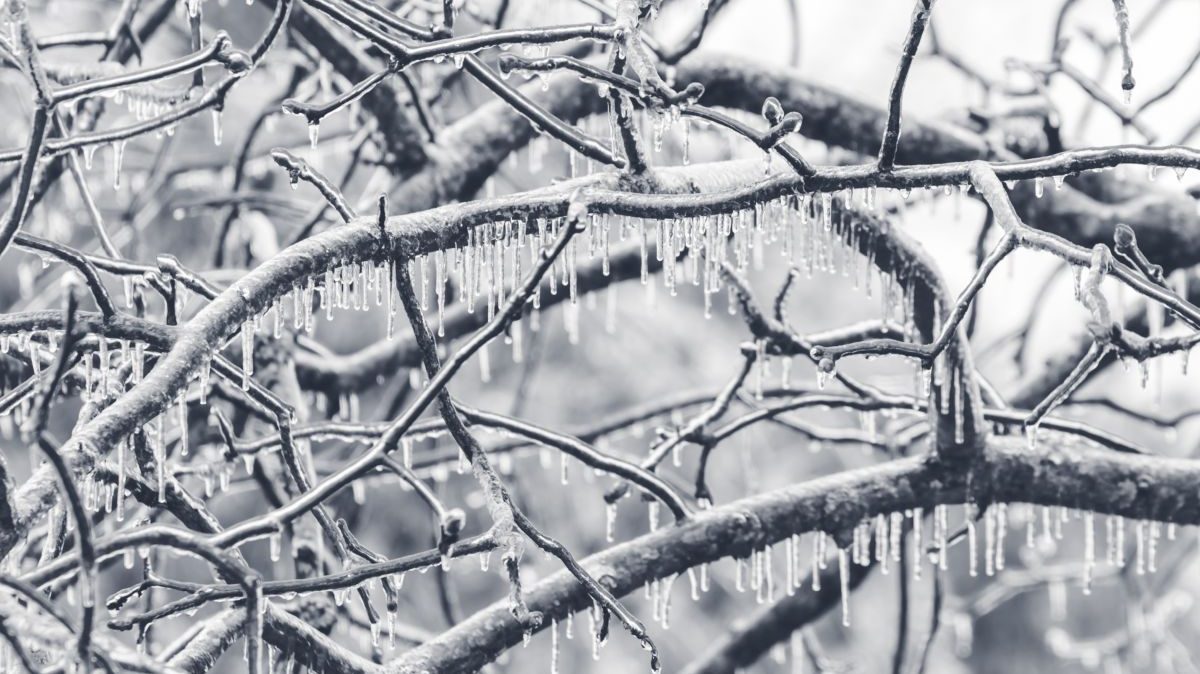 Vreme Rece și Ger De Până La -17 Grade Celsius, în Următoarele Trei ...