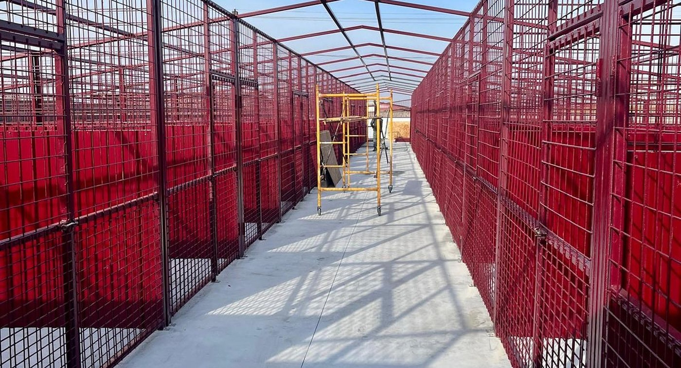 Capacitatea de cazare câinilor vagabonzi de la Mihăileşti, mărită