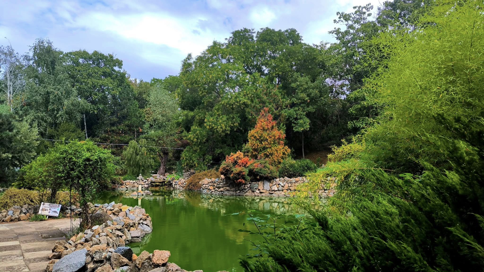 Grădina Botanică din Galați va avea o seră de plante exotice. Palmierii ...
