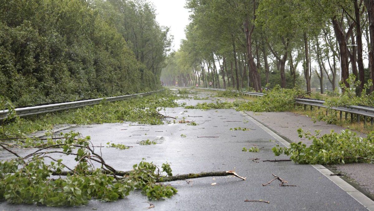 Vreme rece în toată țara, lapoviță la munte. Cât ține codul galben de ...