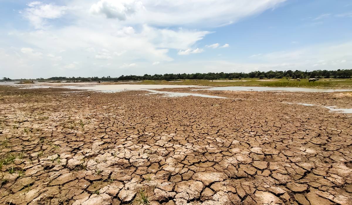 Peste 100.000 de hectare din sudul României s-au transformat în deșert ...