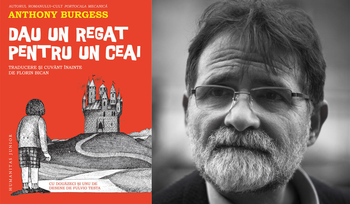 Cartea pentru copii care sfidează logica și testează răbdarea: „Dacă ...